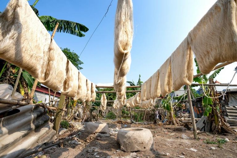 How Is Bamboo Fabric Made? the Manufacturing Process - Knowing Fabric