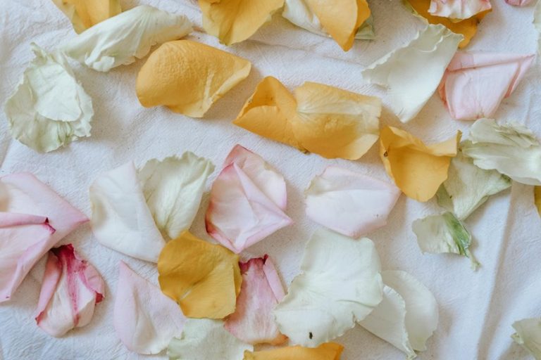 Acetate vs. Triacetate Fabric: What's the Real Difference? - Knowing Fabric