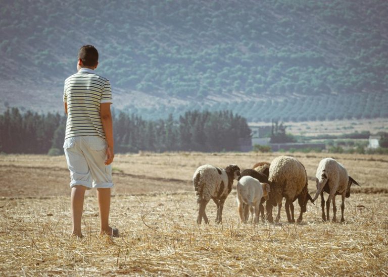 The Ultimate Guide to Men's Wool Gabardine Slacks - Knowing Fabric