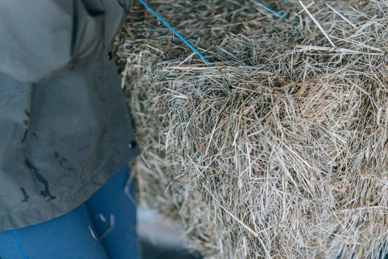 How to Remove Grease Stains From a Gore-Tex Jacket - Knowing Fabric